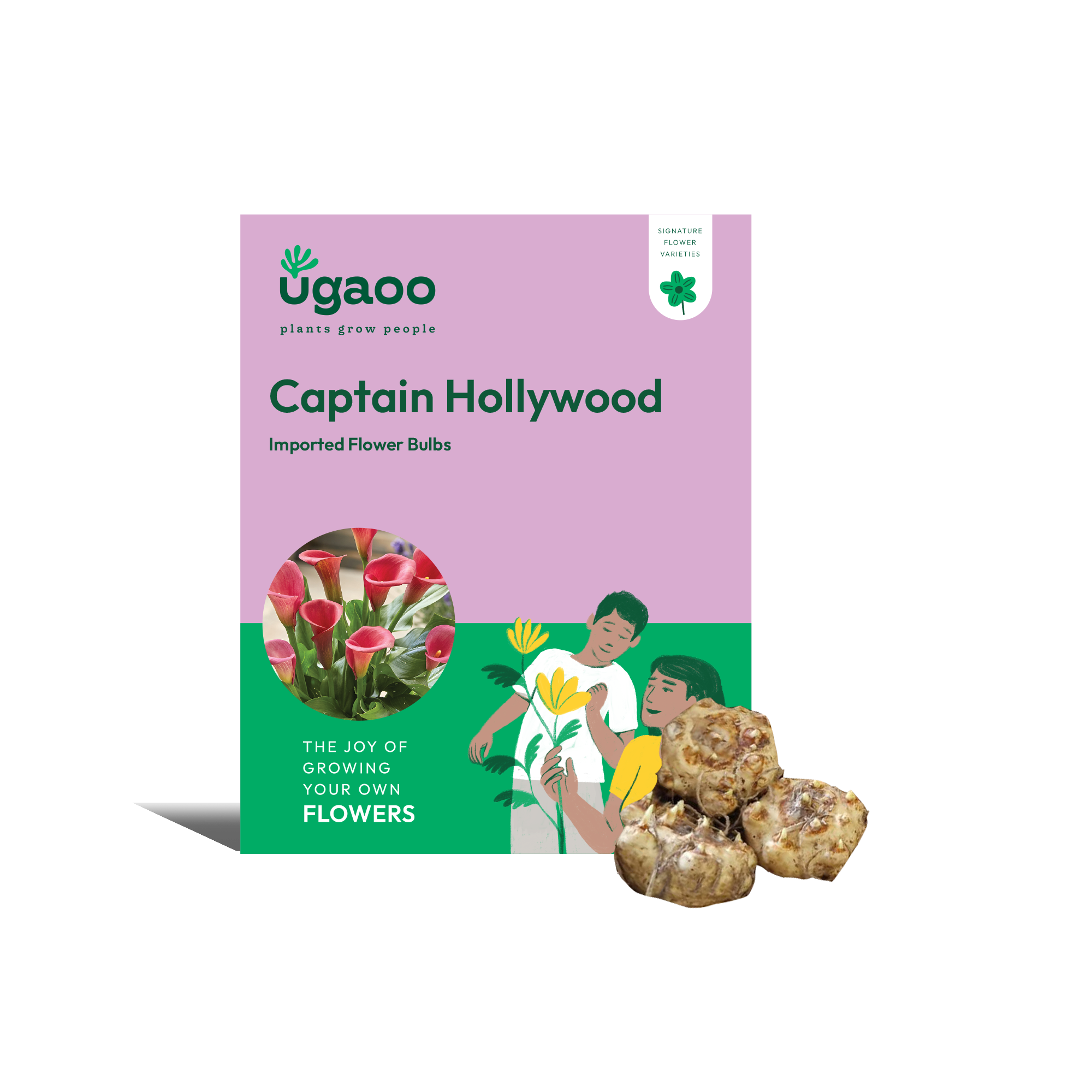 Captain-Hollywood.png?v=1729256480